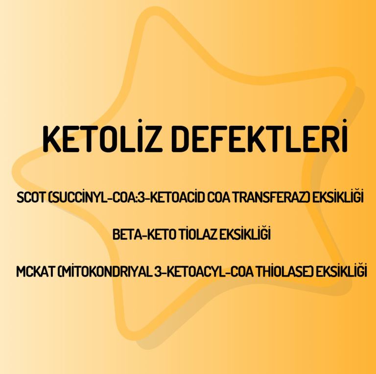 Ketoliz Defektleri – Çocuk Metabolizma